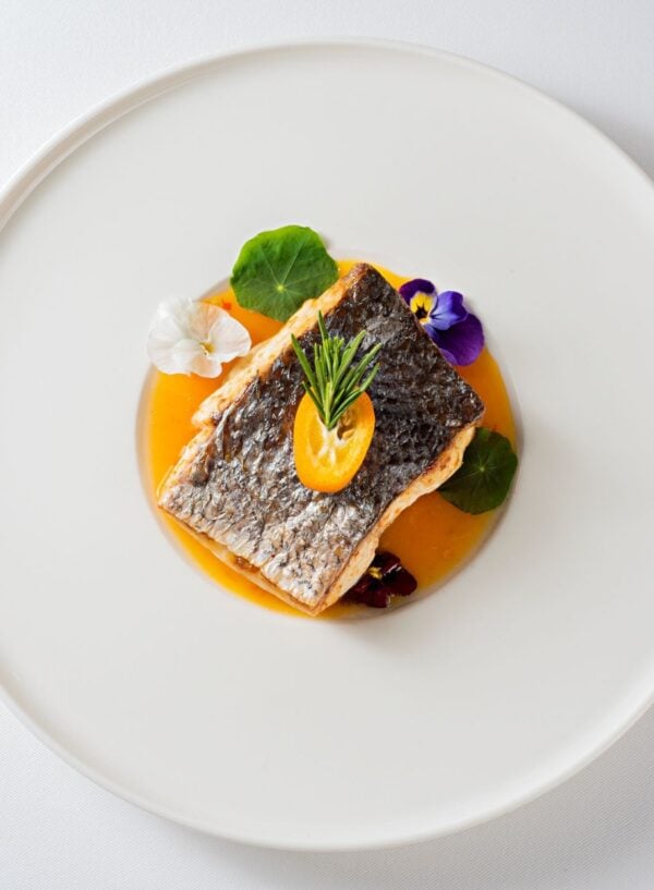 Motors by the Moat - Event Information Guide - Leeds Castle