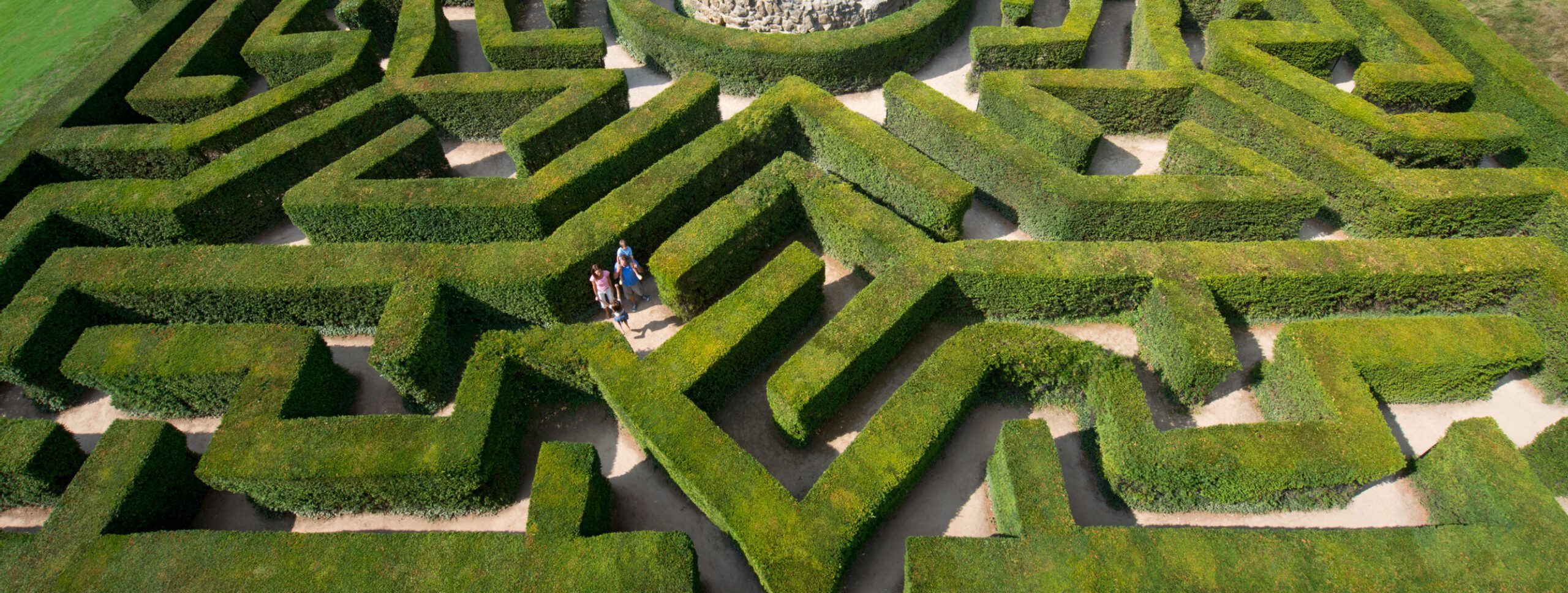 Leeds Castle Maze Turns 30 - Leeds Castle