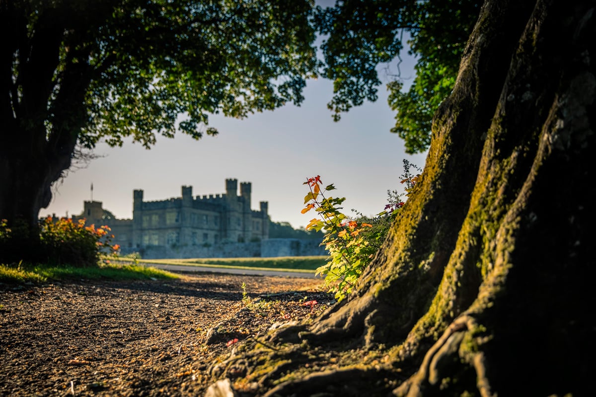 Peaceful Escapes - Leeds Castle