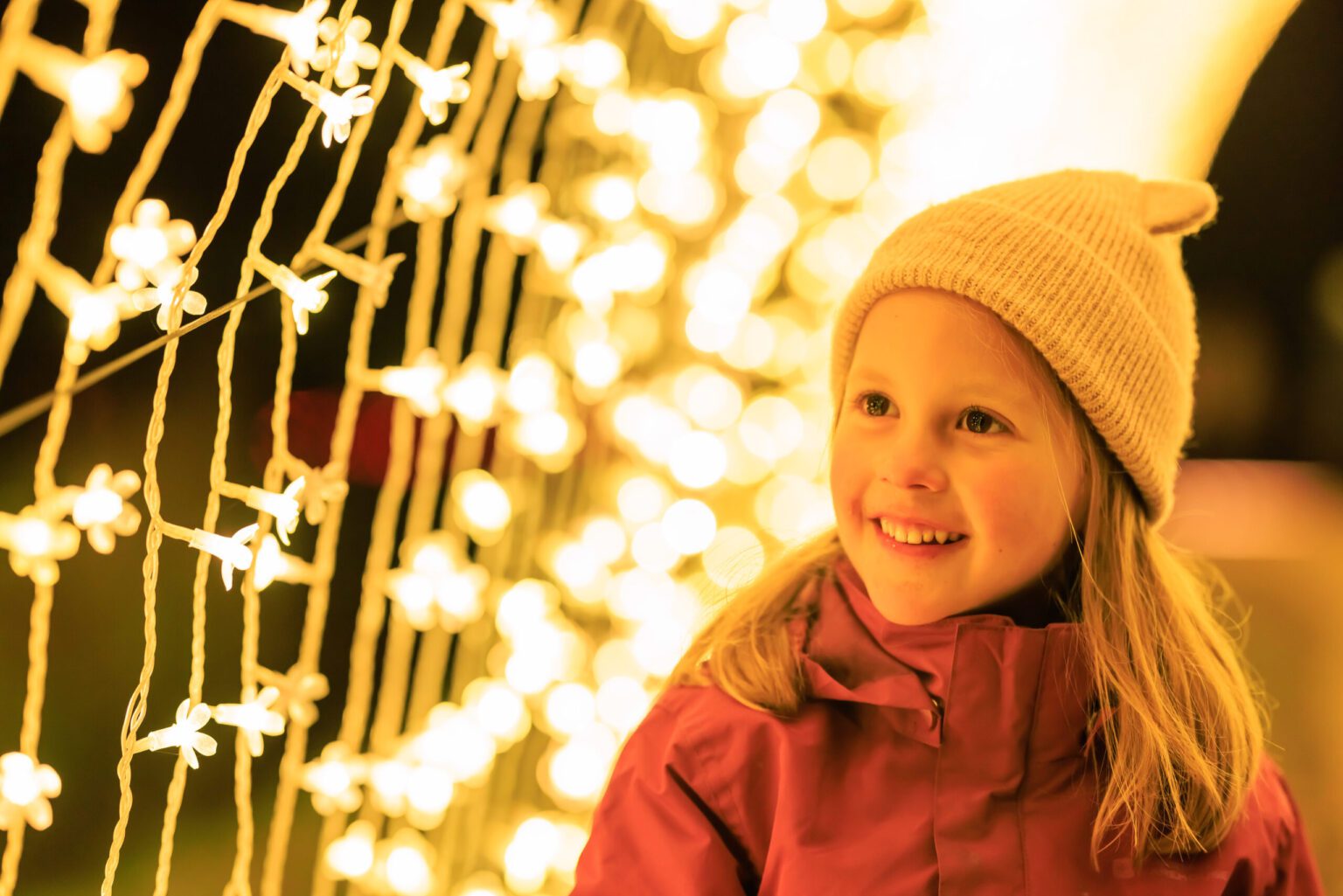 Christmas Lights at Leeds Castle - Leeds Castle
