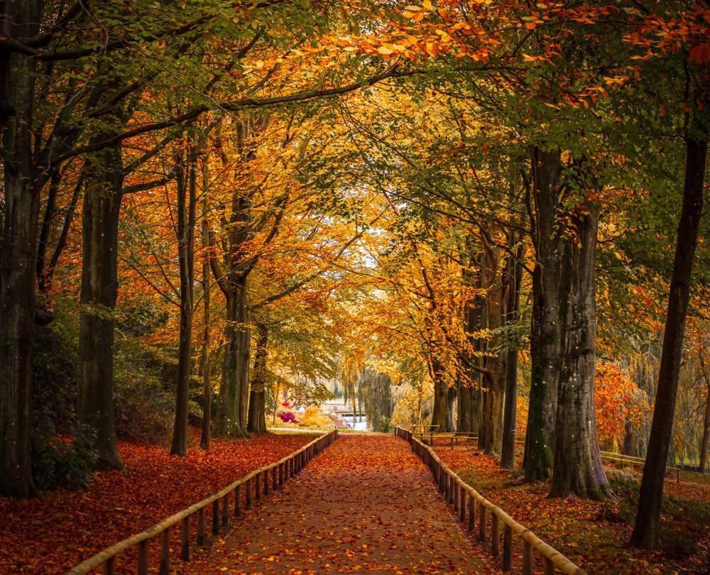 Autumn at Leeds Castle - Leeds Castle