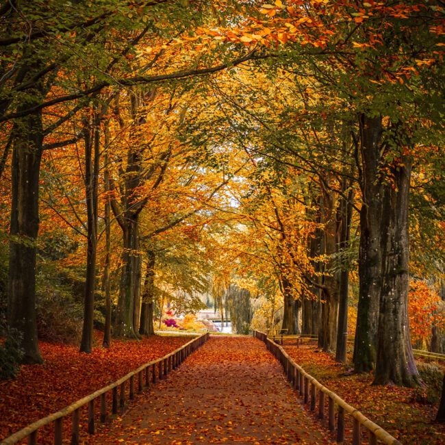 What's on - Events - Leeds Castle