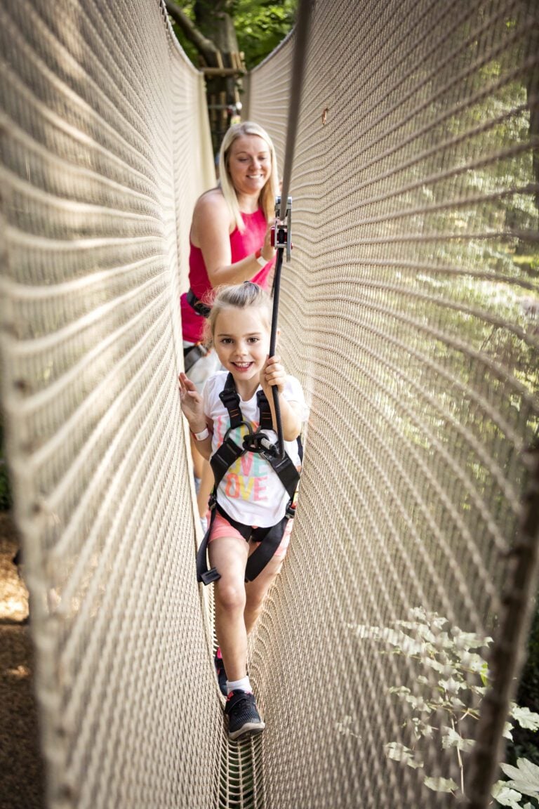 Go Ape at Leeds Castle - Leeds Castle