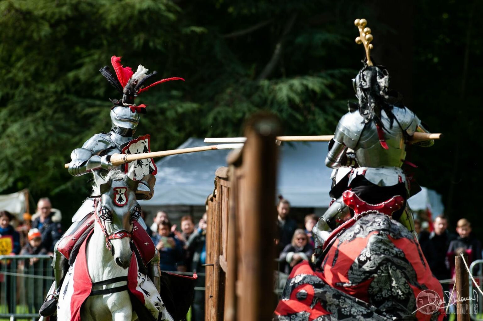 The Queen's Joust - Leeds Castle