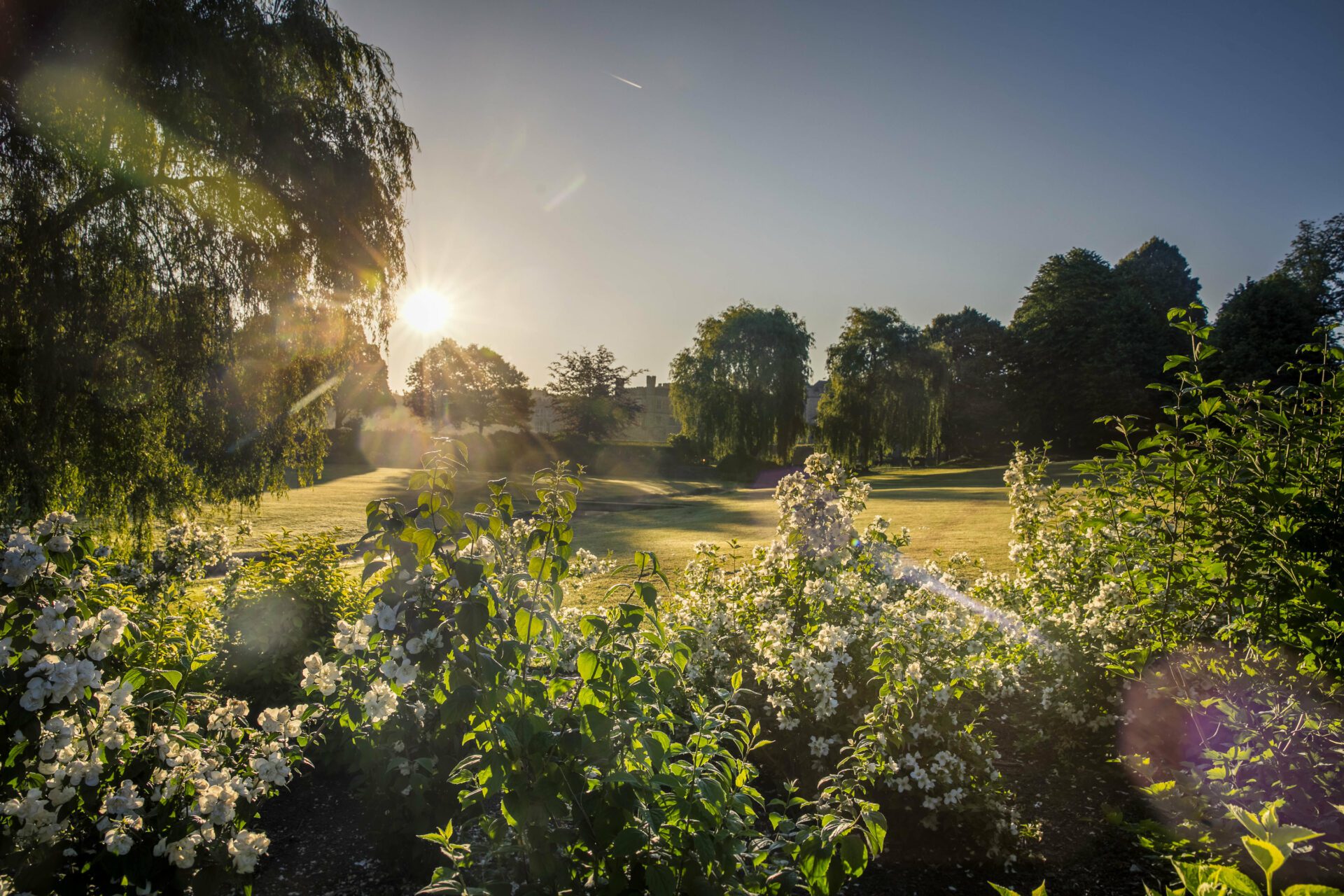 Ways to Stay Cool in the Heatwave at Leeds Castle - Leeds Castle