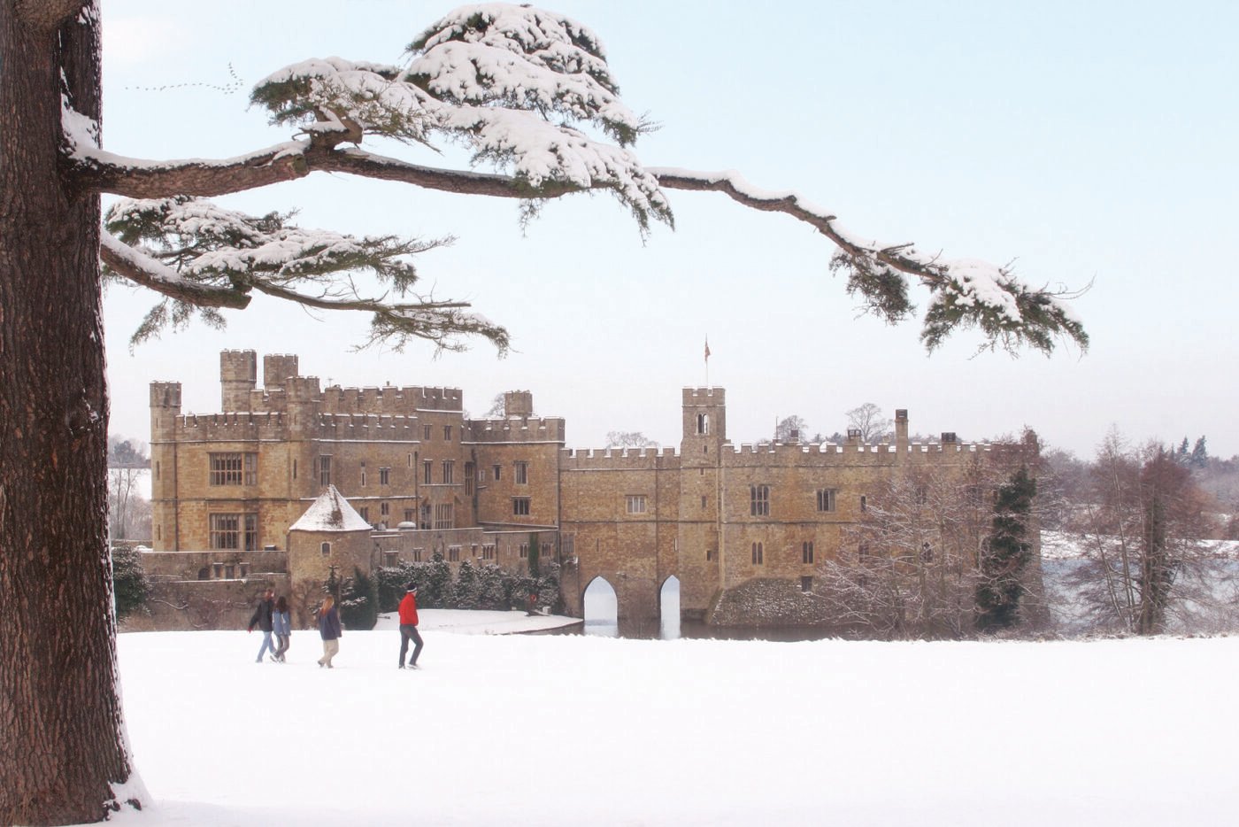Group Visits - Leeds Castle