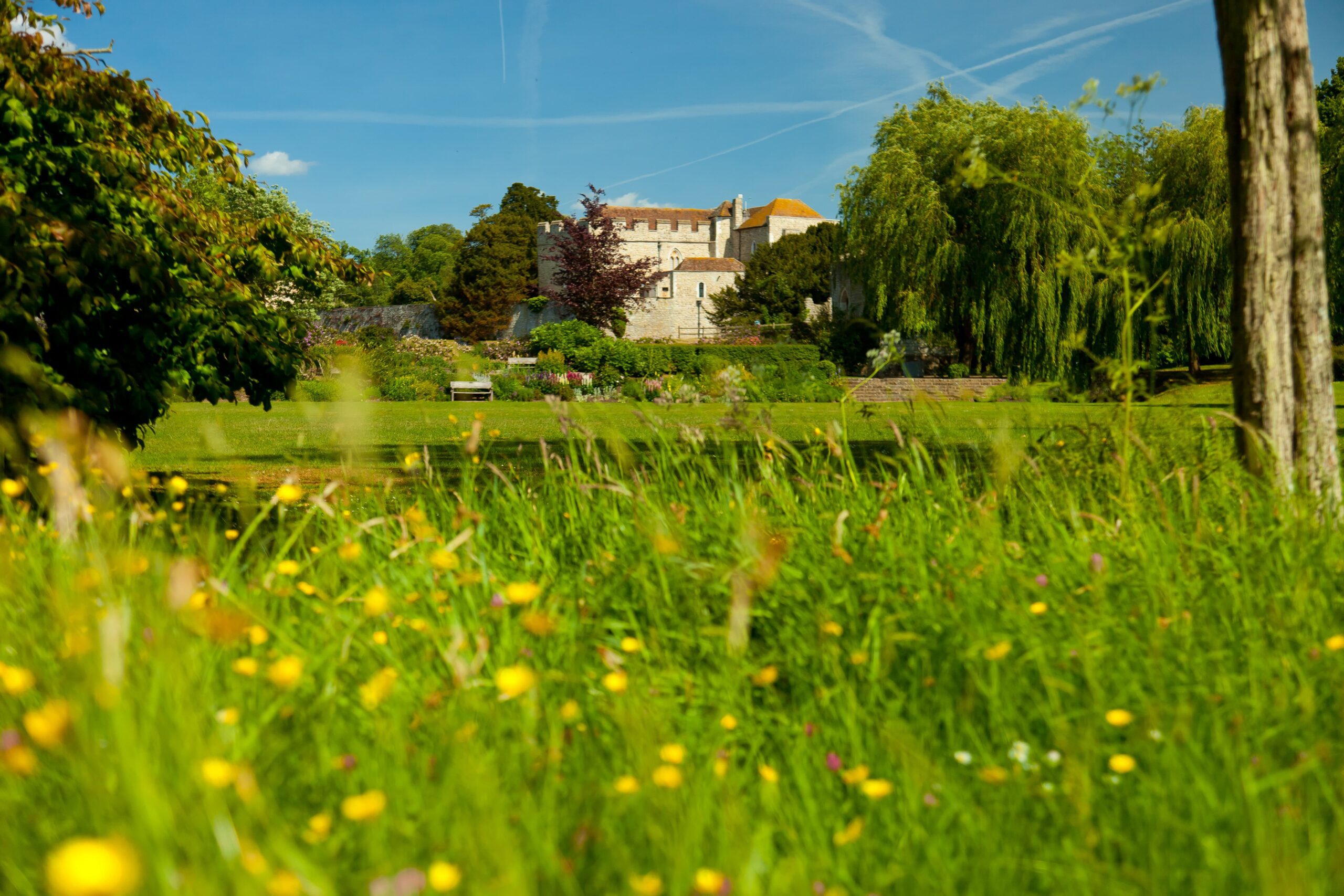 50th Anniversary Wildflower Meadow - Leeds Castle
