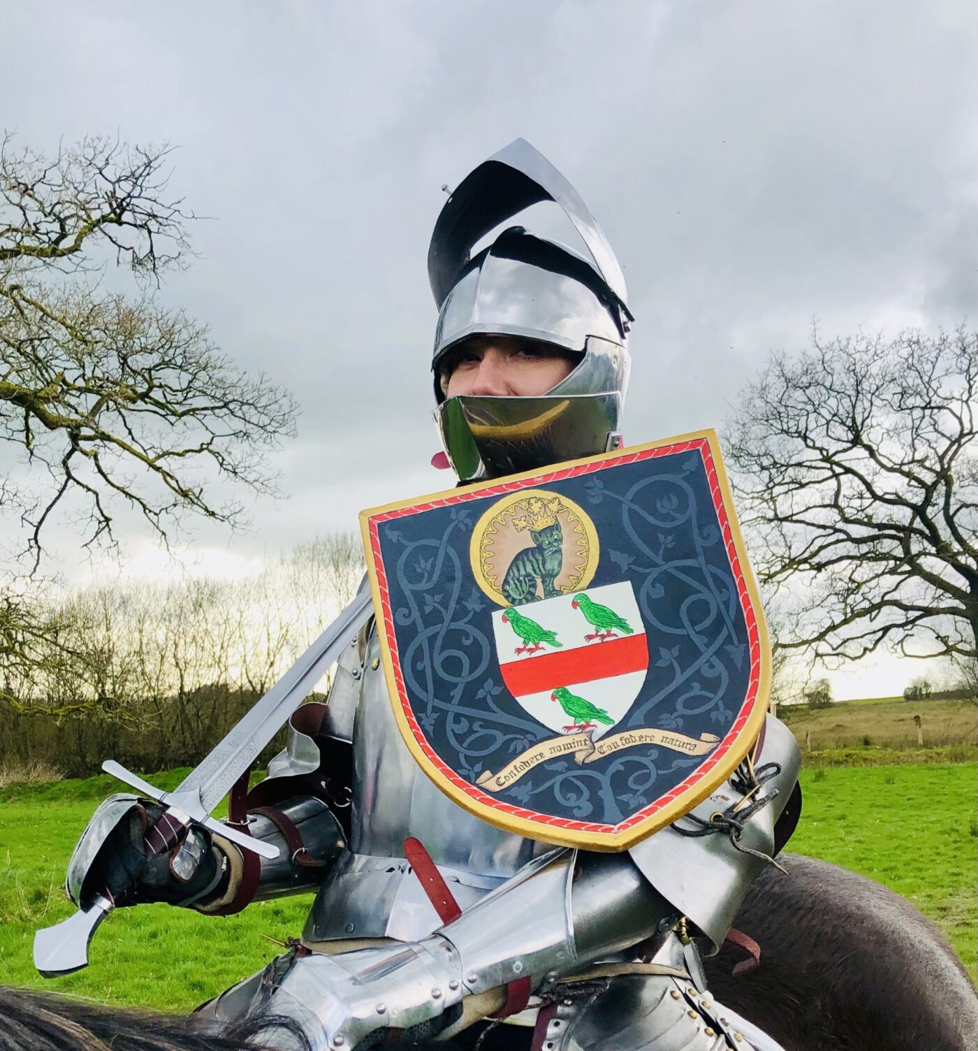 The Queen's Joust - Leeds Castle