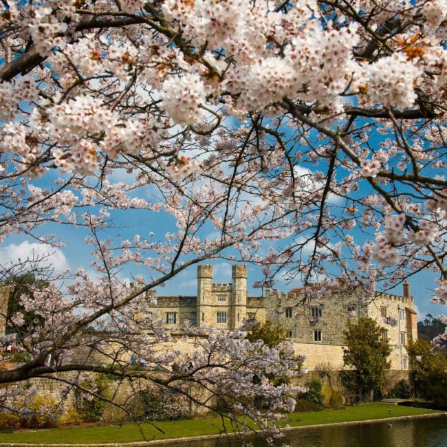 Opening times and directions - Leeds Castle